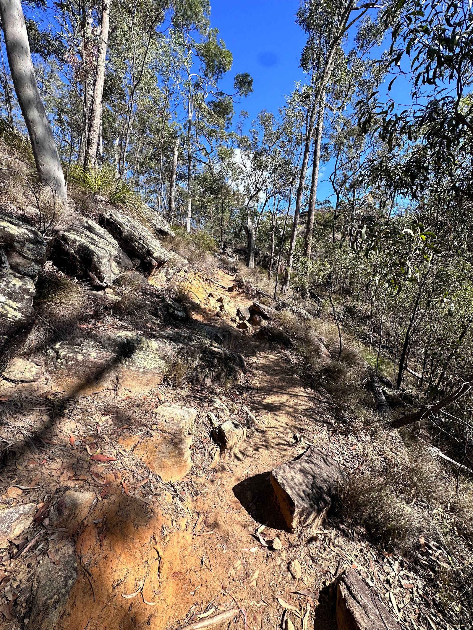 Exploring the Natural Beauty and Rich History of White Rock ...